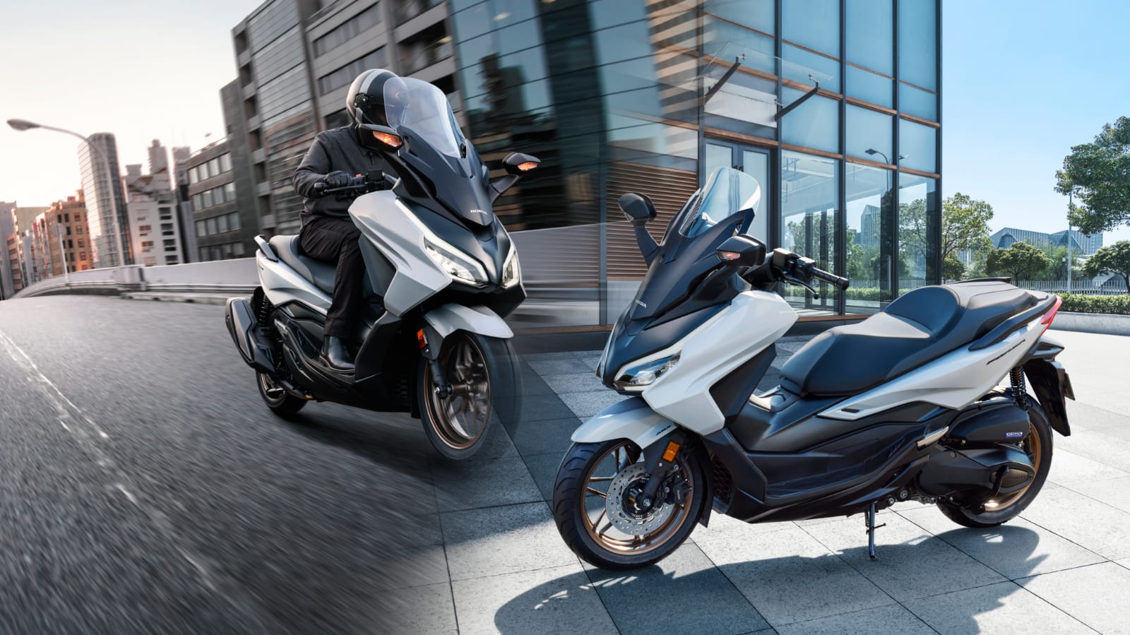 Honda Forza 2025 | Harga, Pilihan Warna, Fitur Baru & Spesifikasi ...